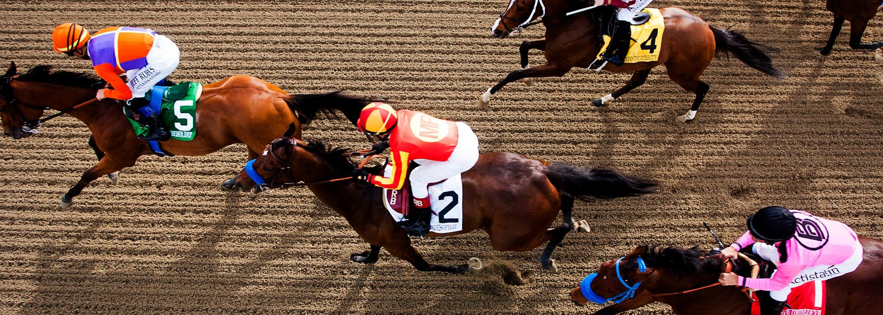 Experiences - PEGASUS