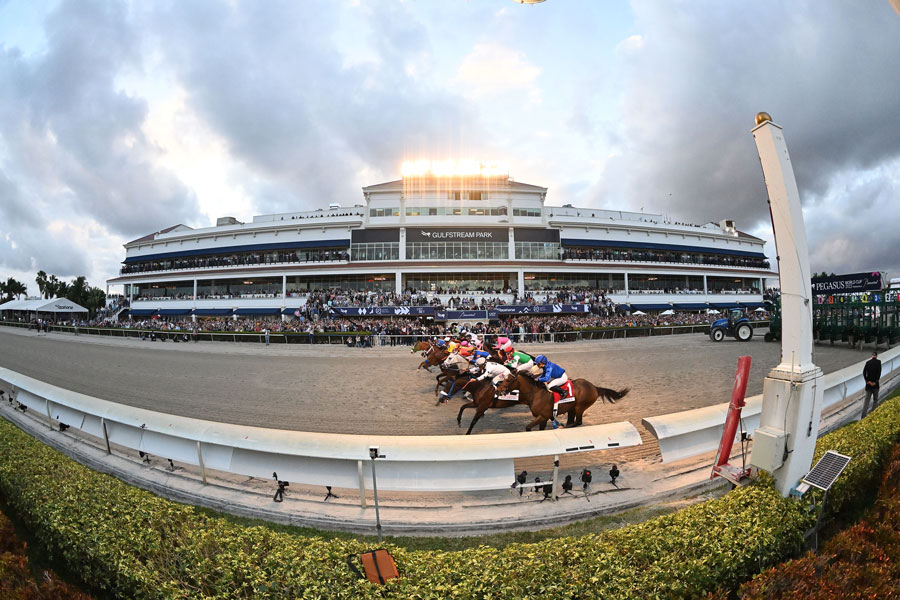 Art Collector ‘Feeling Good About Himself’ after G1 Pegasus Win ...