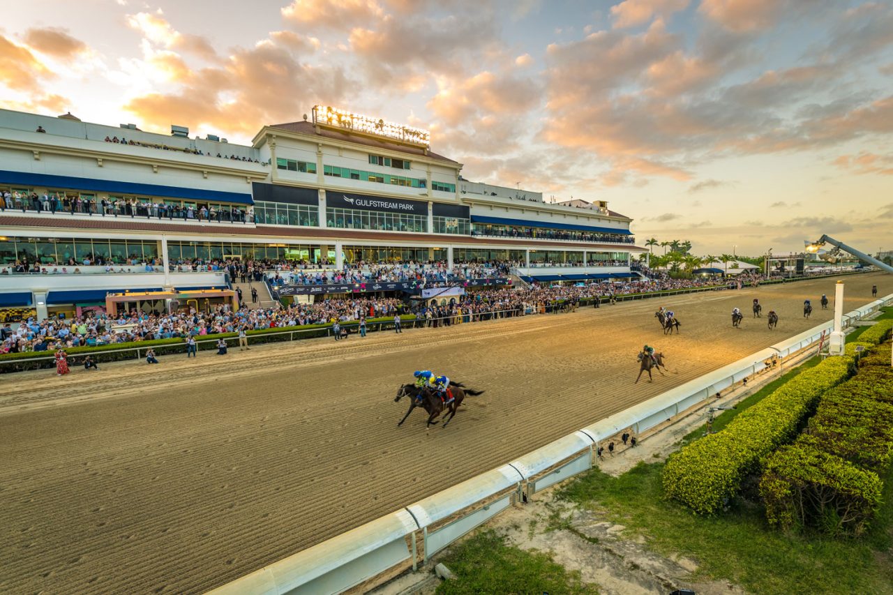 Pegasus World Cup 2026 | Pegasus World Cup